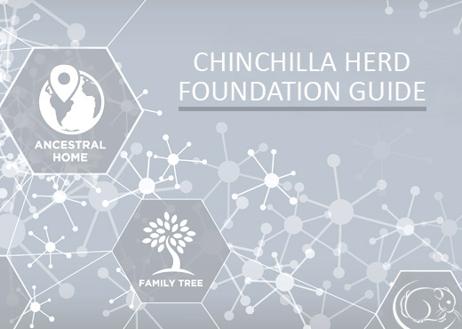 Chinchilla Resources