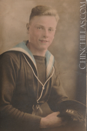 The Finding of Mr. X and the Gillingham Violet Chinchilla